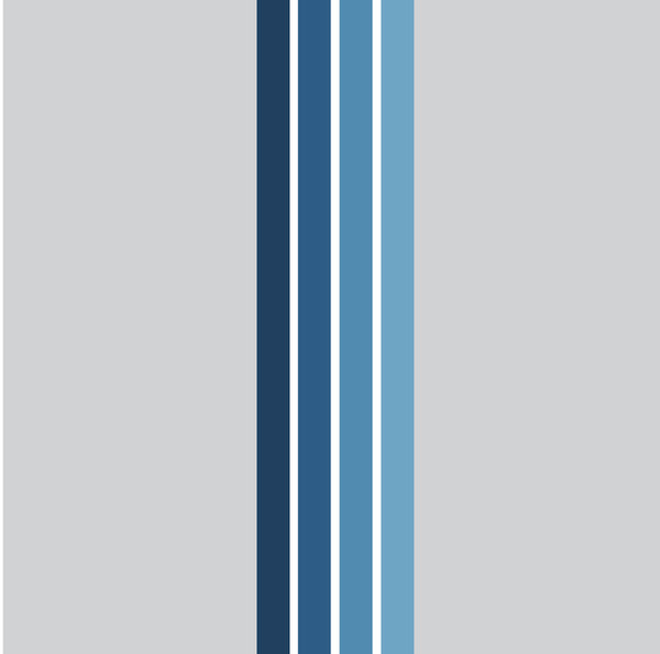 Retro stripe pinstripe vehicle sticker decal van motorhome camper Land ...