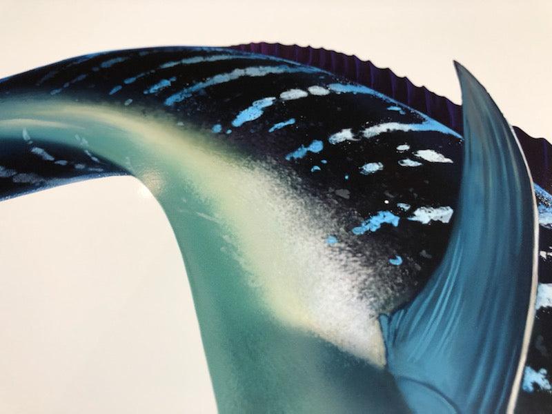 Marlin fishing sticker decal for boat , motorhome 4x4 camper vehicle ...